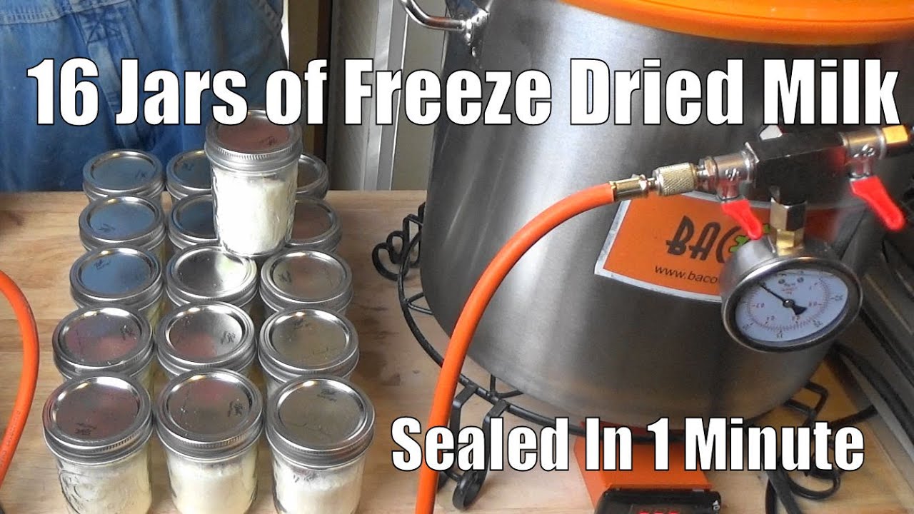 Vacuum Sealing 16 Jars Of Freeze Dried Milk In 1 Minute Ep232 - YouTube