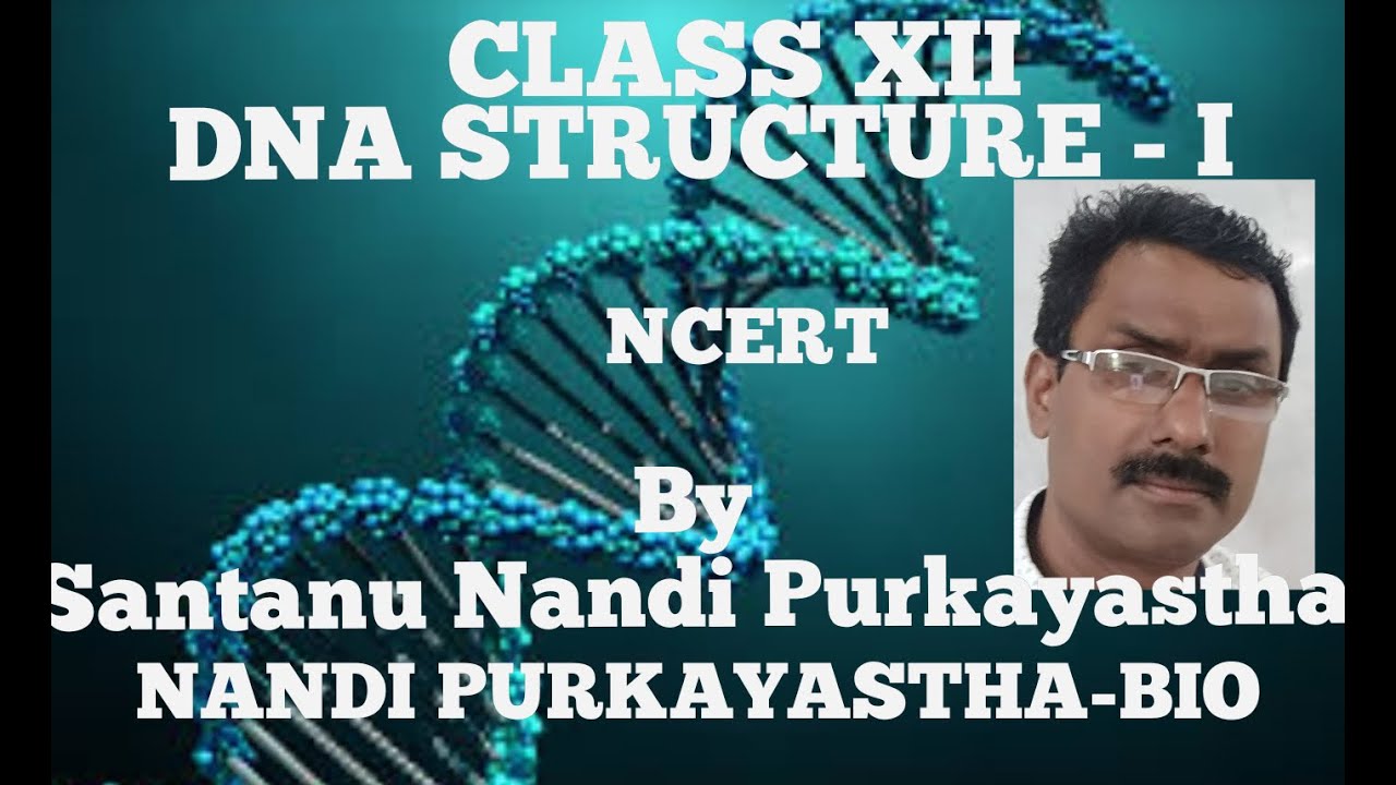CLASS - XII : DNA STRUCTURE - I - YouTube