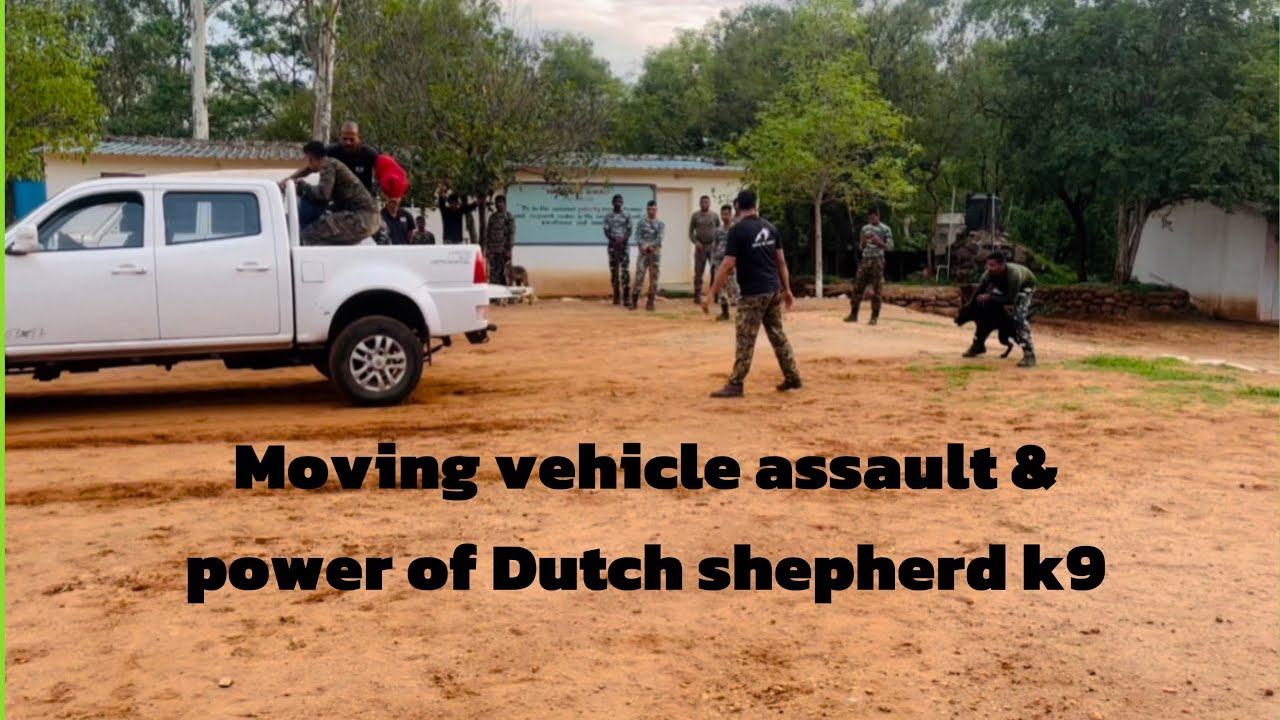 Moving vehicle assault | K9 training centre Db&ts Crpf Bengaluru - YouTube