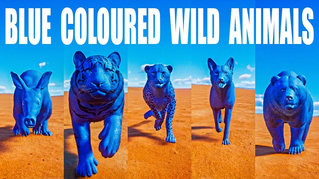 Blue Coloured Wild Animals Speed Races in The Maze in Planet Zoo ...