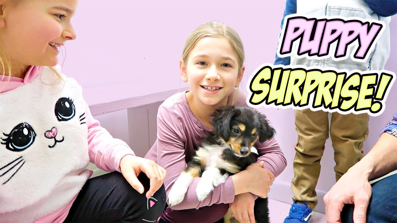 WE BOUGHT A PUPPY! | JKrew - YouTube