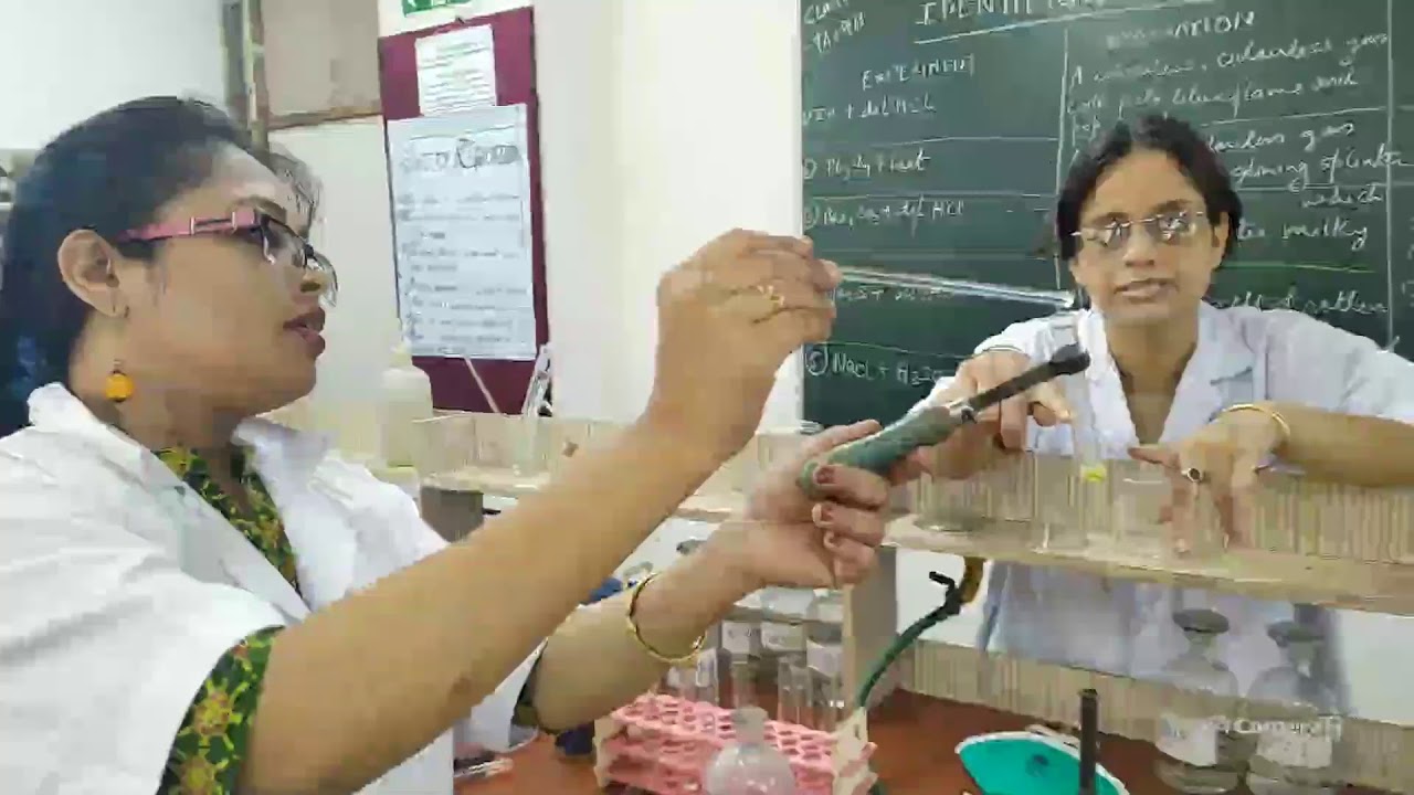 Chemistry Practical for Class 9 : Topic Identification of Gases - YouTube