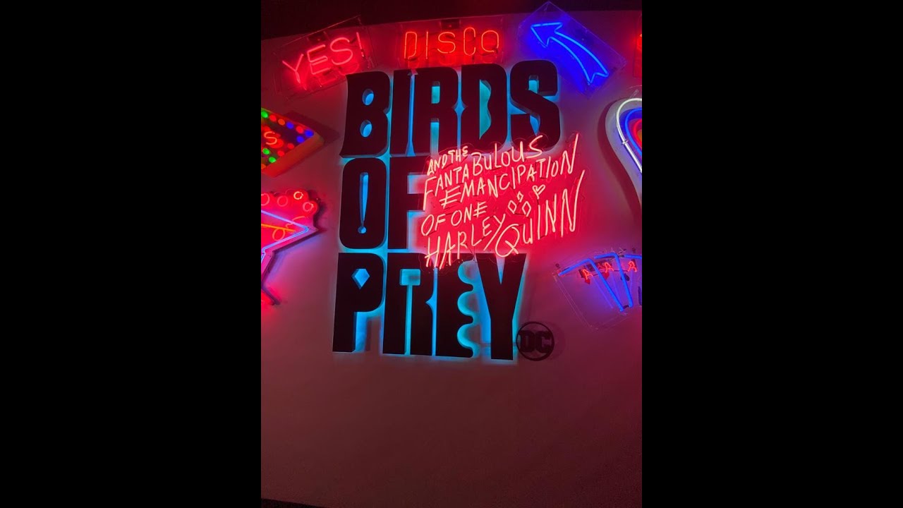 Life in a Junket - Birds of Prey - YouTube