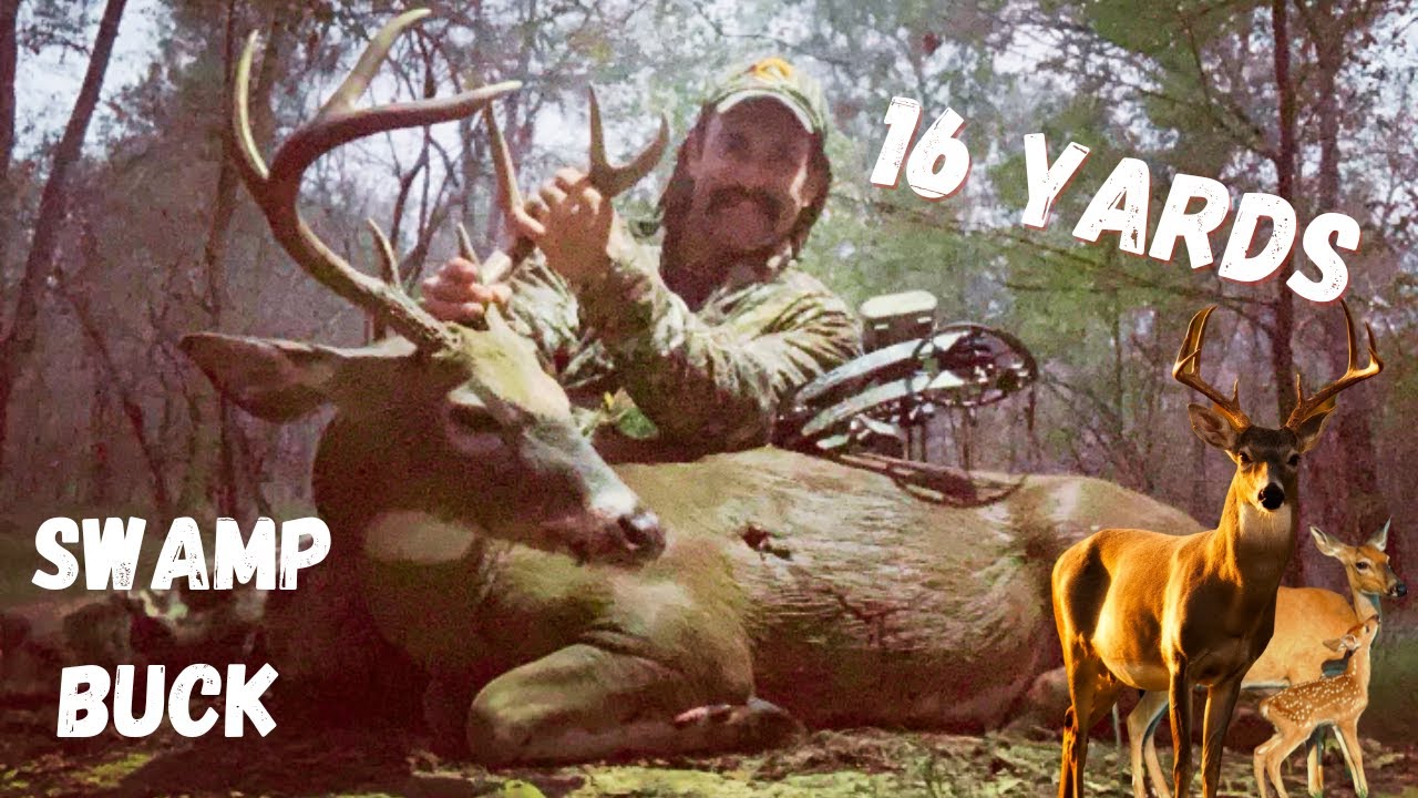 Bowhunting in a Louisiana Swamp...Big BUCK at 16 Yards!! - YouTube
