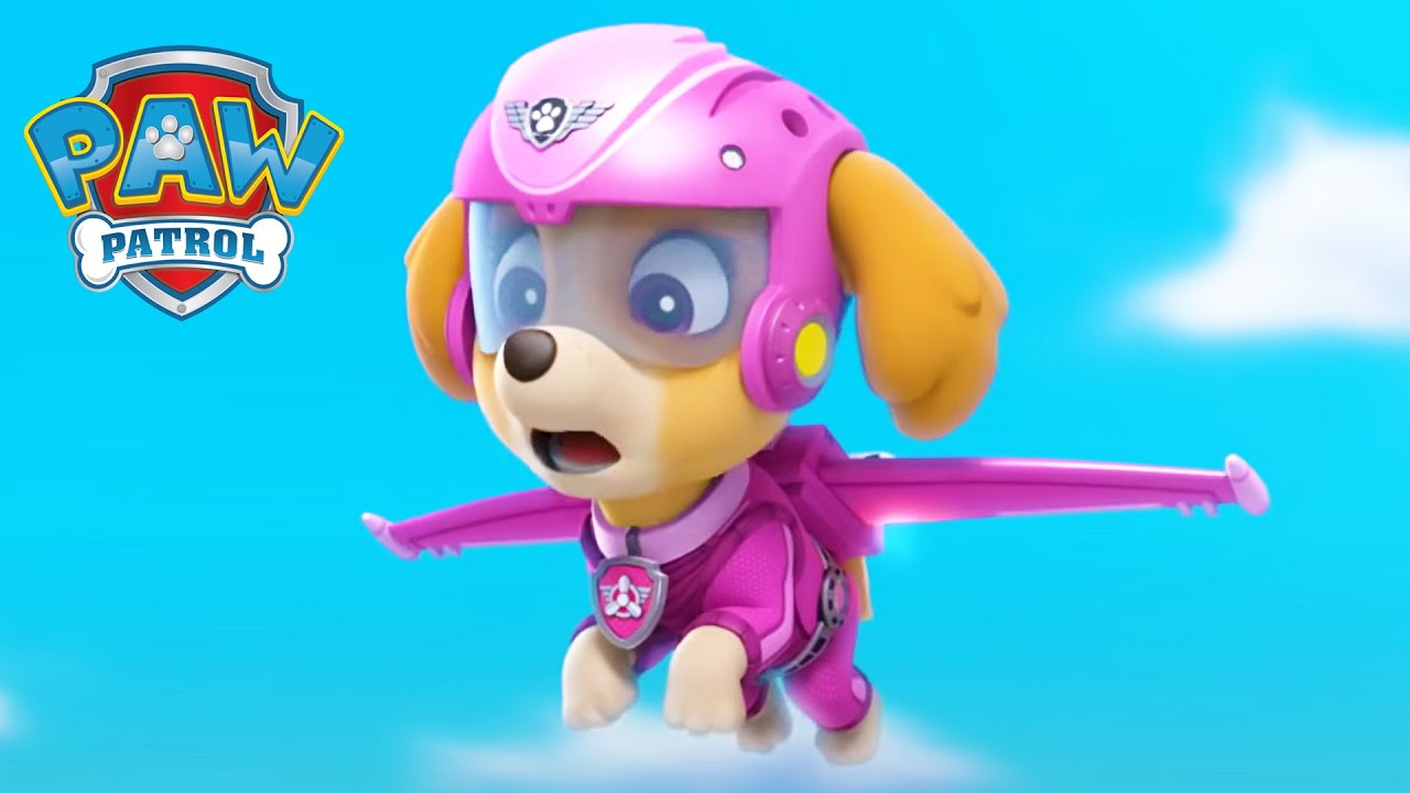 Air Pups to the Rescue! - PAW Patrol Episode - Cartoons for Kids - YouTube