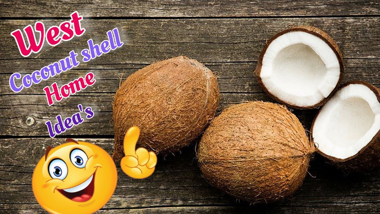 Easy DIY | Coconut shell home decor ideas Meking at home | Amazing ...