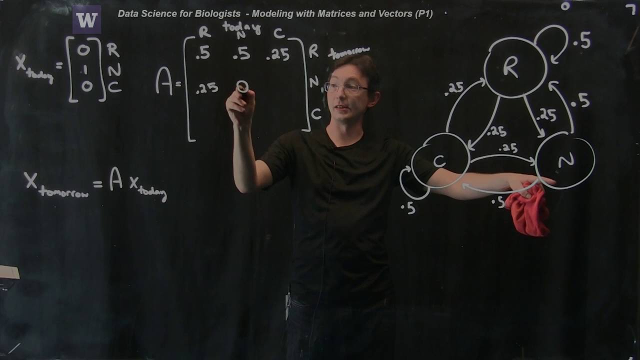 Systems of Equations: Modeling with Matrices and Vectors, Part 1 - YouTube