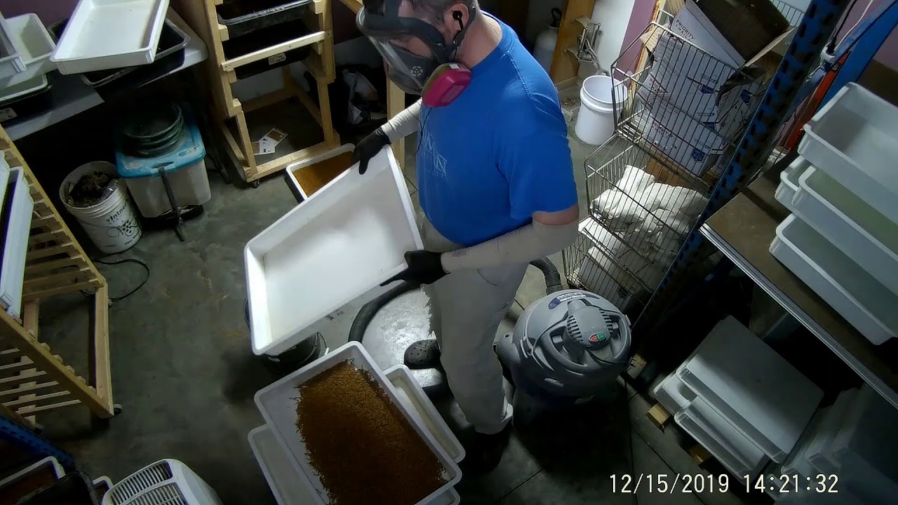 Sorting and sifting 12 13 19 part 2 - YouTube