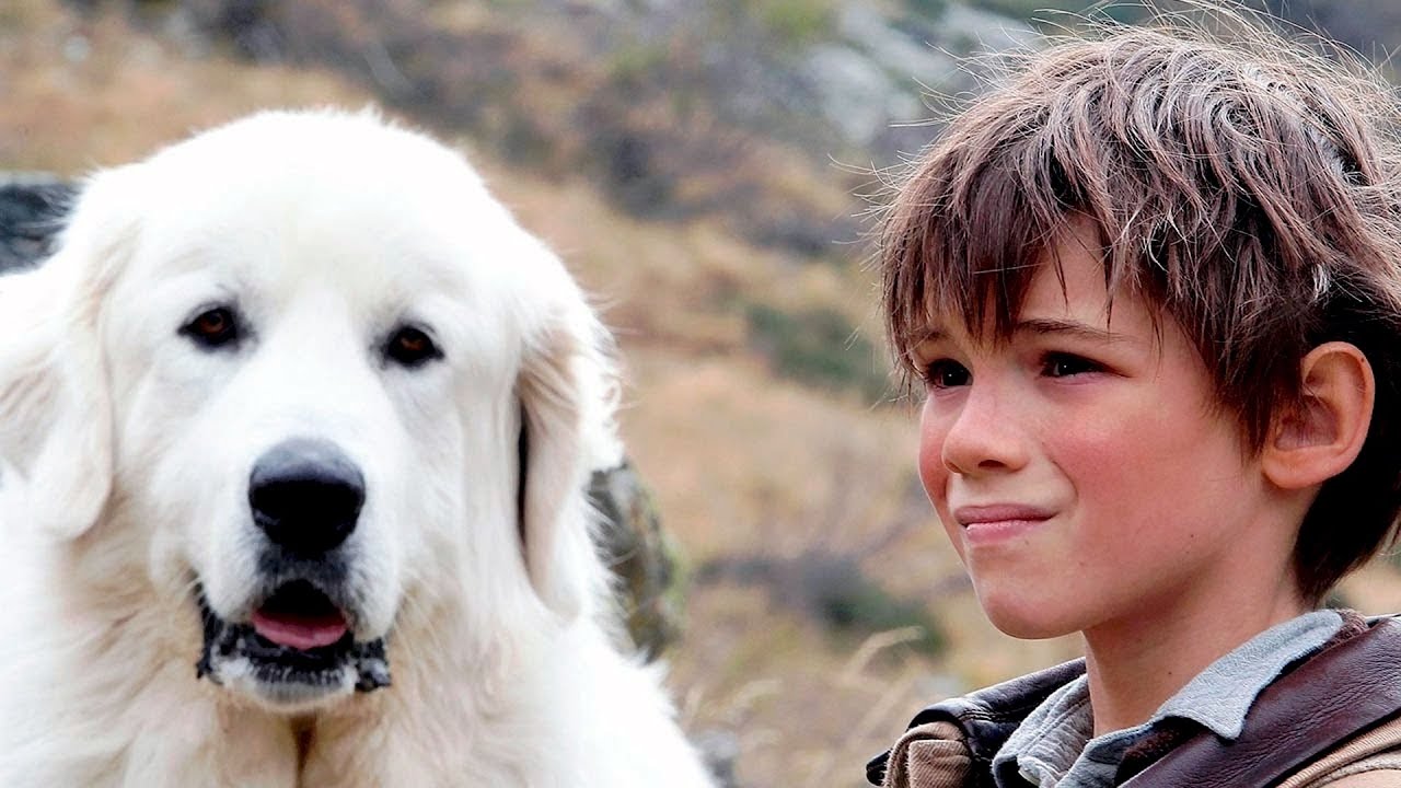 Belle y Sebastián (Trailer español) - YouTube