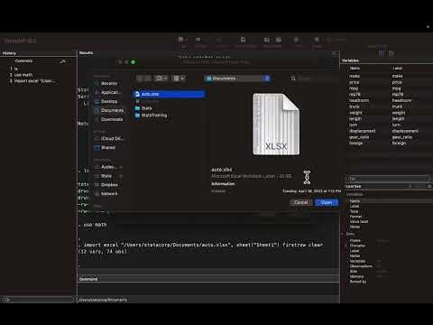 Import Excel® data into Stata - YouTube