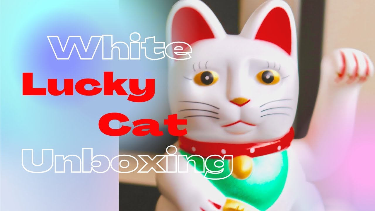 White Lucky Cat Unboxing - YouTube