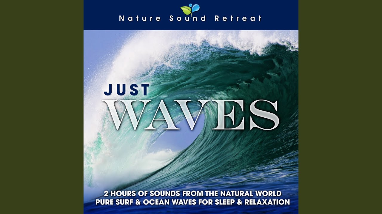 Just Waves: 2 Hours of Sounds from the Natural World (Pure Surf & Ocean ...