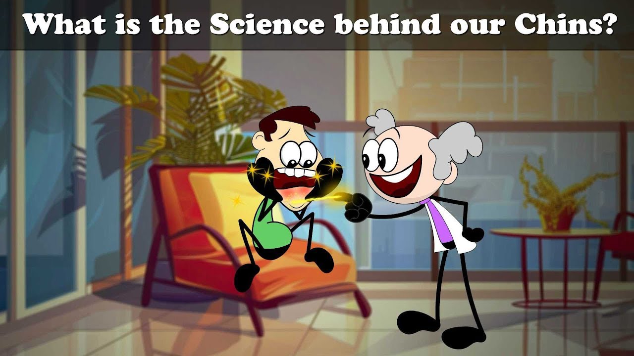What is the Science behind our Chins? + more videos | #chumpum #kids # ...