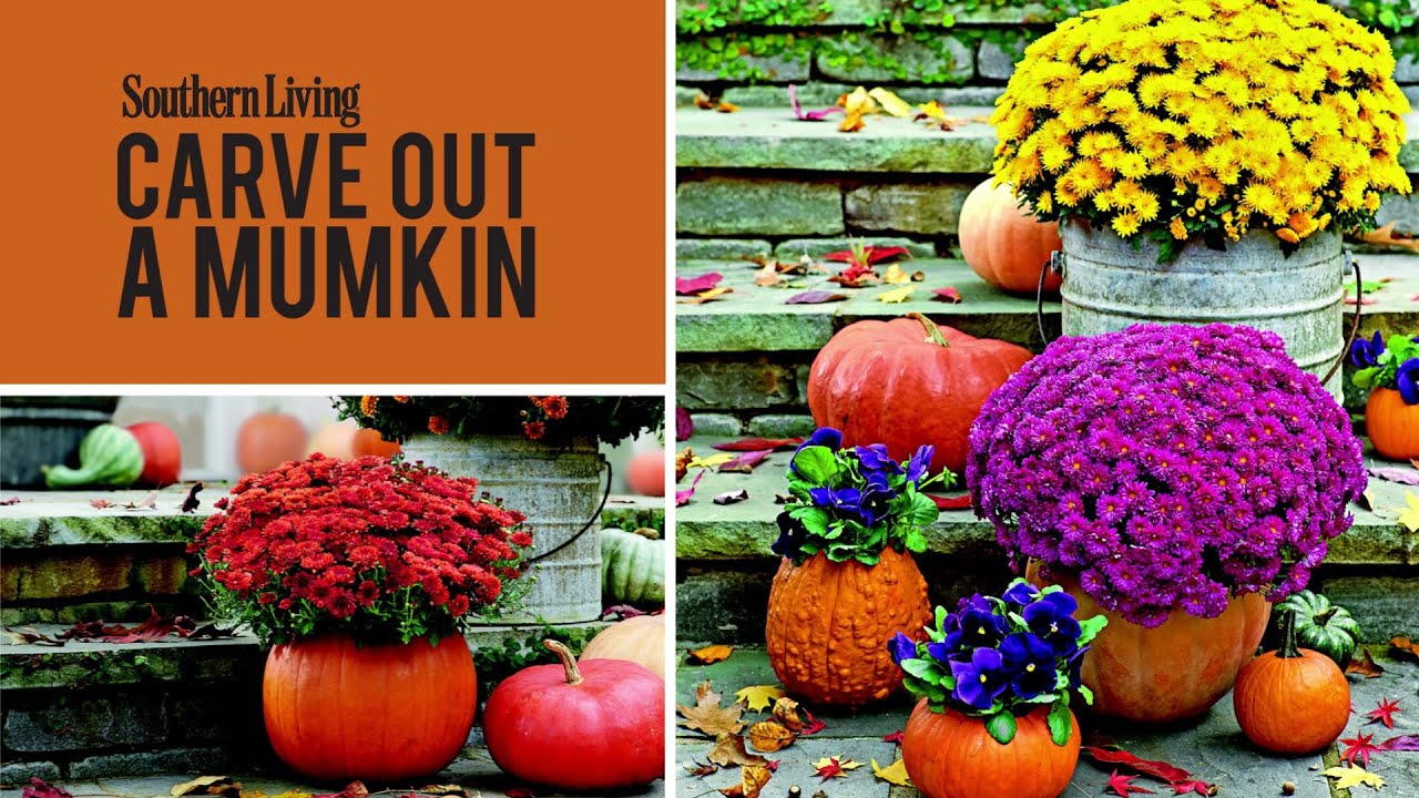 How to Make Mumkins | Easy Fall Decorating Idea - YouTube