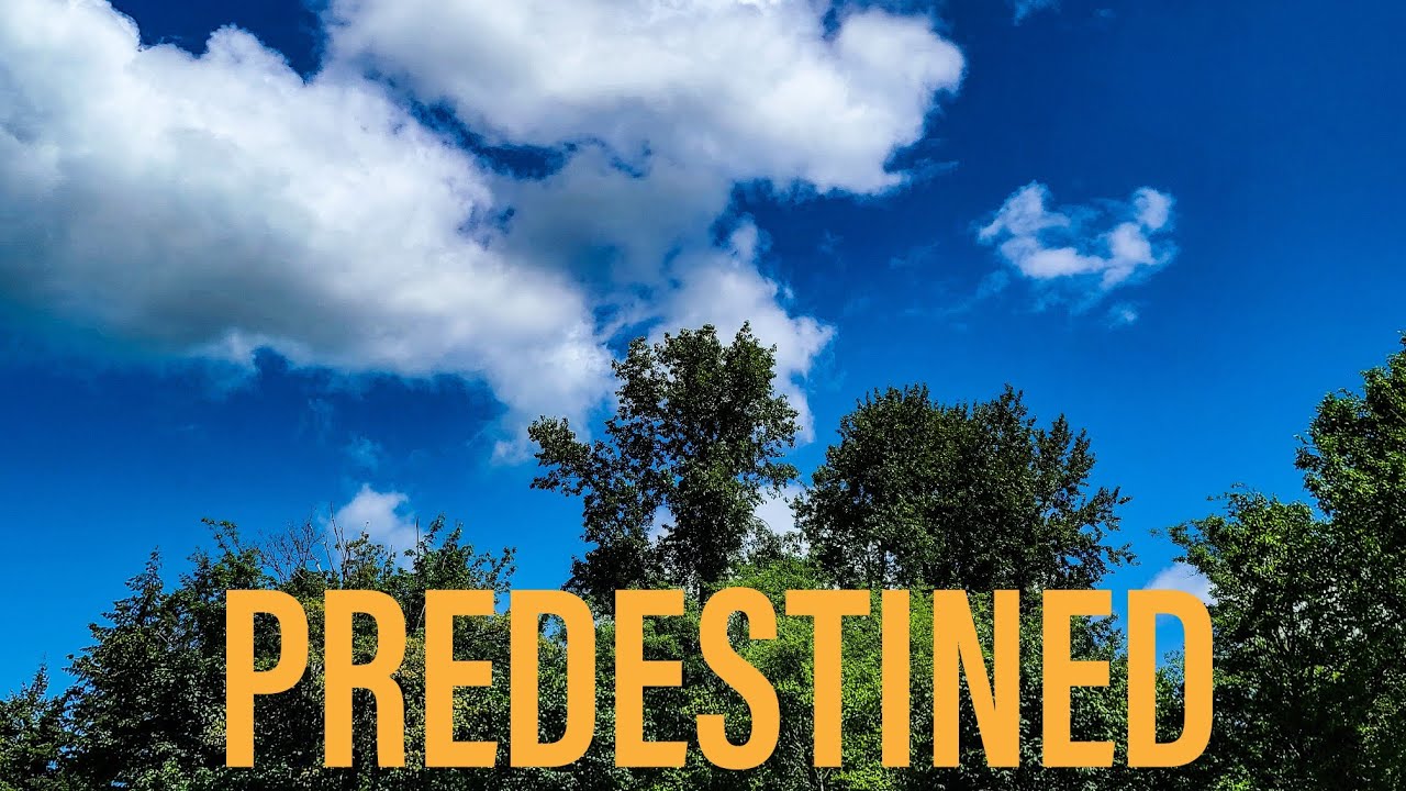 Predestined - YouTube