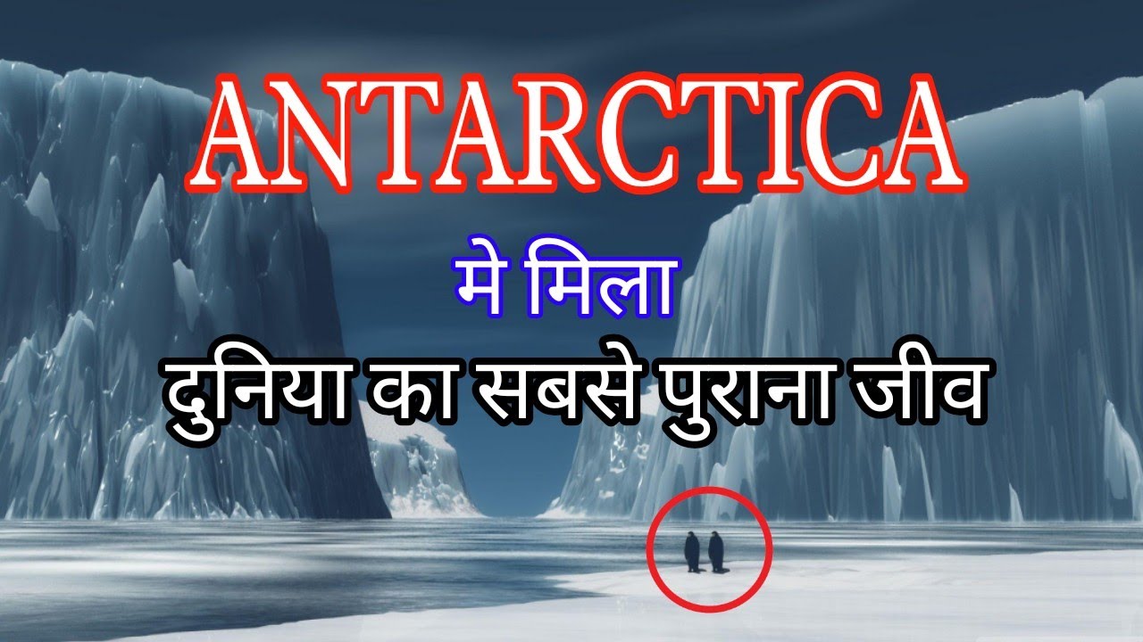 |What is Antarctica famous for? |Antarctica facts #Rohanpandetv # ...