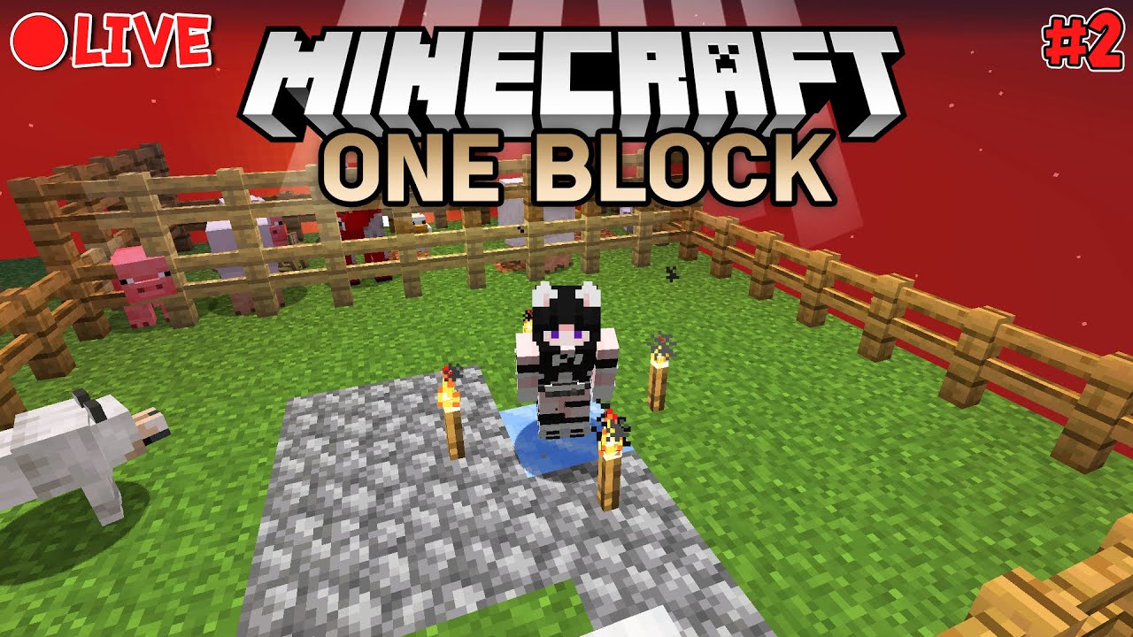🔴 LIVE l Minecraft One Block #2 ไม่เอาไอ้เขียว - YouTube