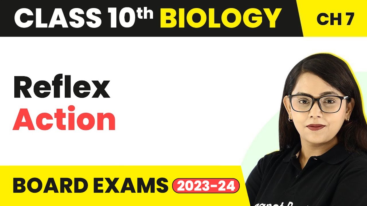 Reflex Action - Control and Coordination | Class 10 Biology - YouTube