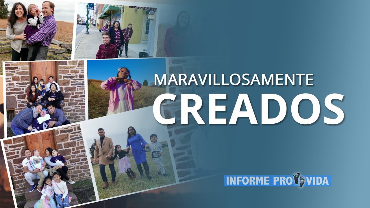 Informe Provida: Maravillosamente Creados 01|04|22 - YouTube