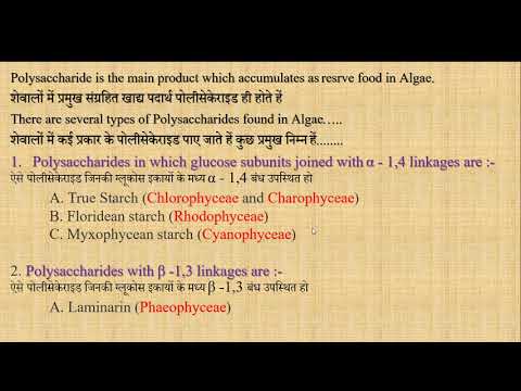 Reserve Food Material Found in Algae - YouTube