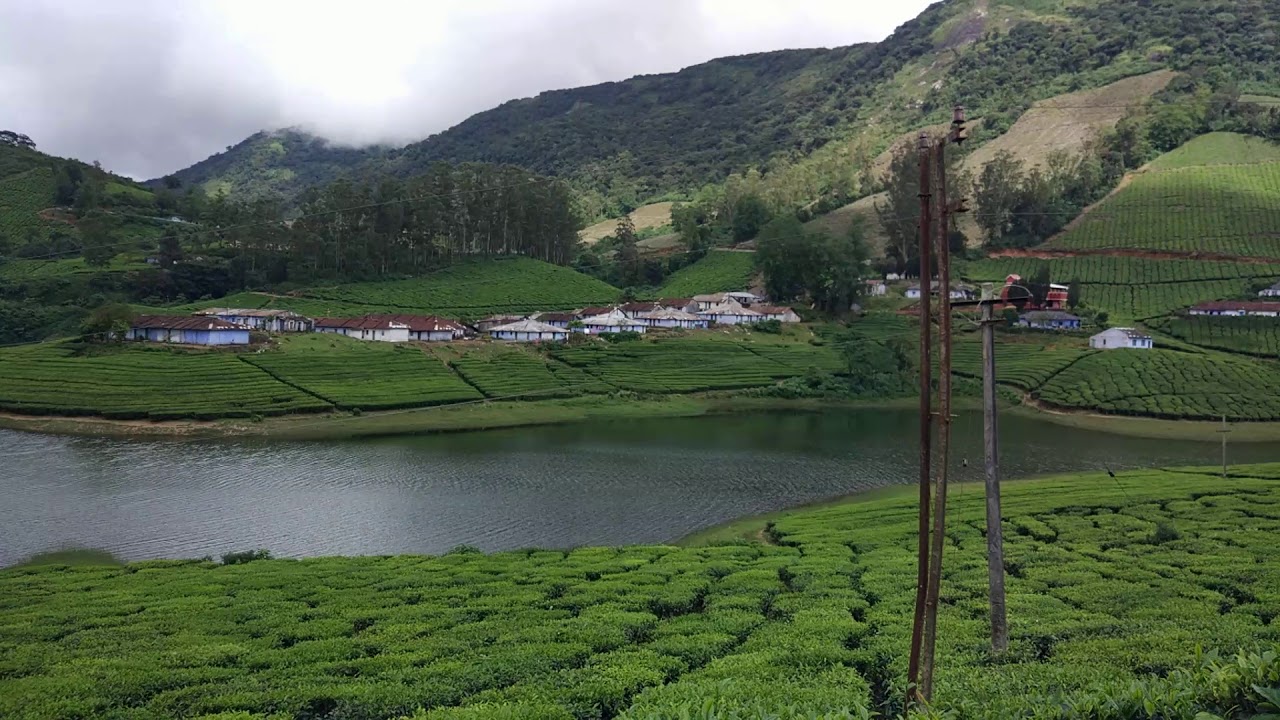 Megamalai, Theni (ஹைவேவிஸ் எஸ்டேட்) - YouTube