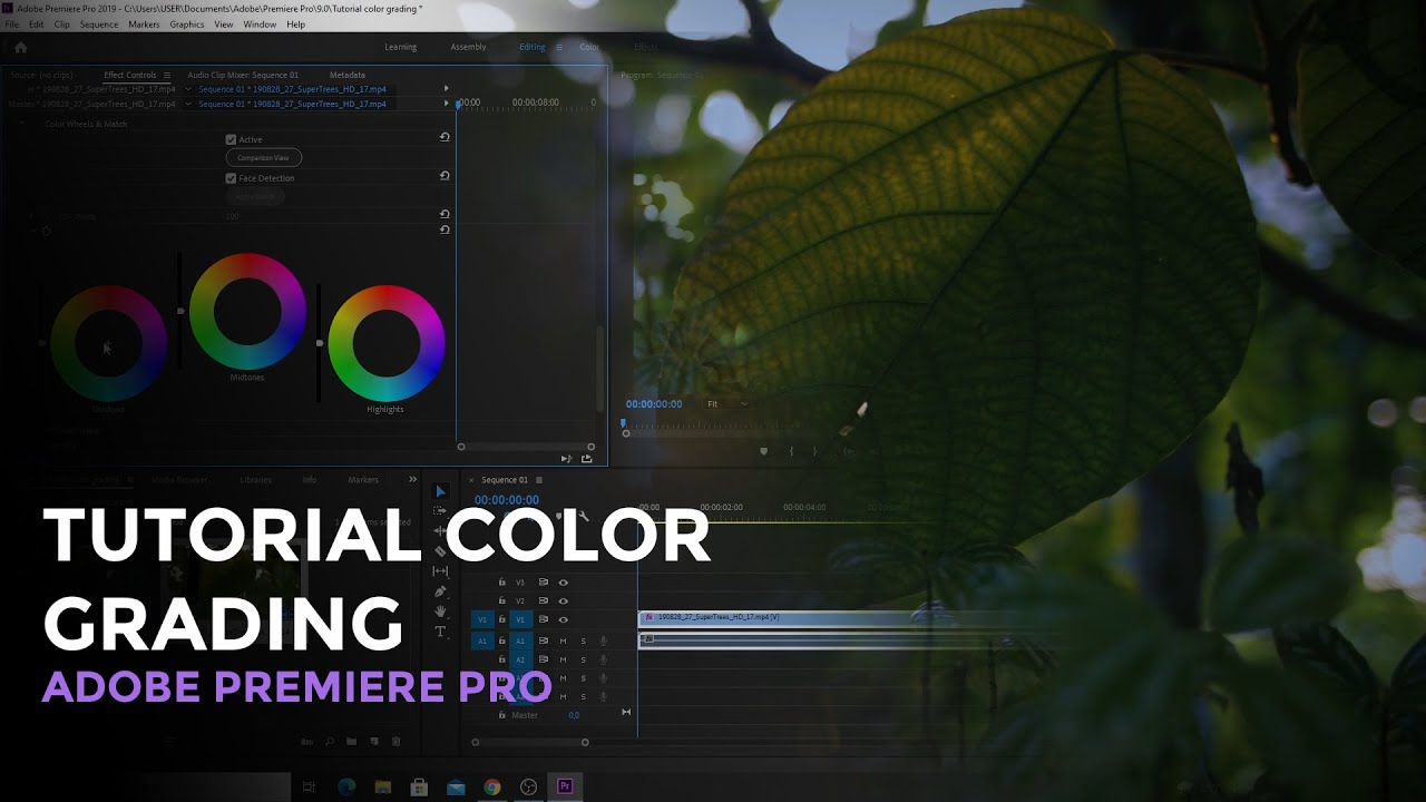 CARA COLOR GRADING SIMPLE DI ADOBE PREMIERE PRO - YouTube