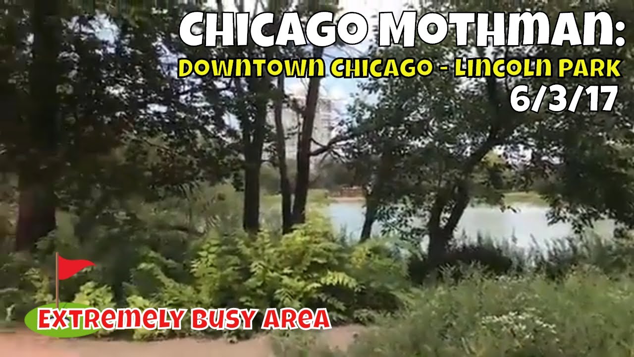 Mothman Site #15 - North Pond in Lincoln Park in Chicago, IL - YouTube