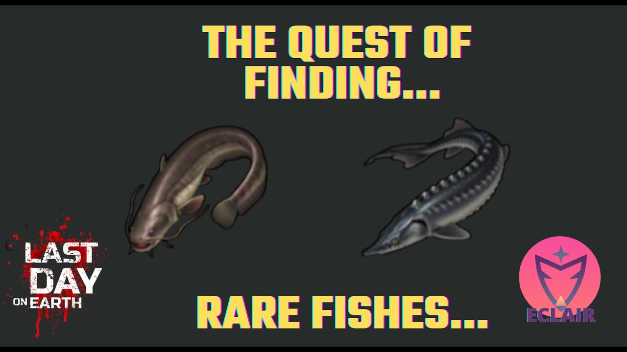 Trying To Find Some High Grade Fish, It's Worth until. . . - YouTube