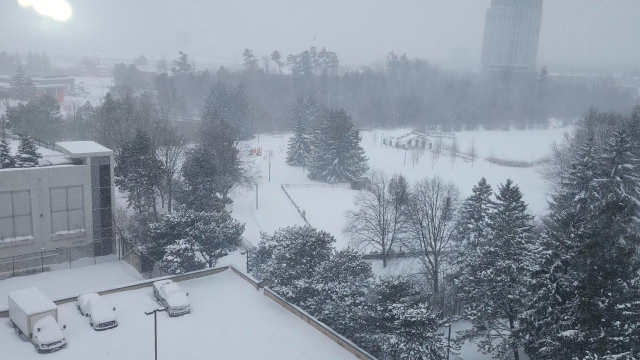 Snow falls February - YouTube