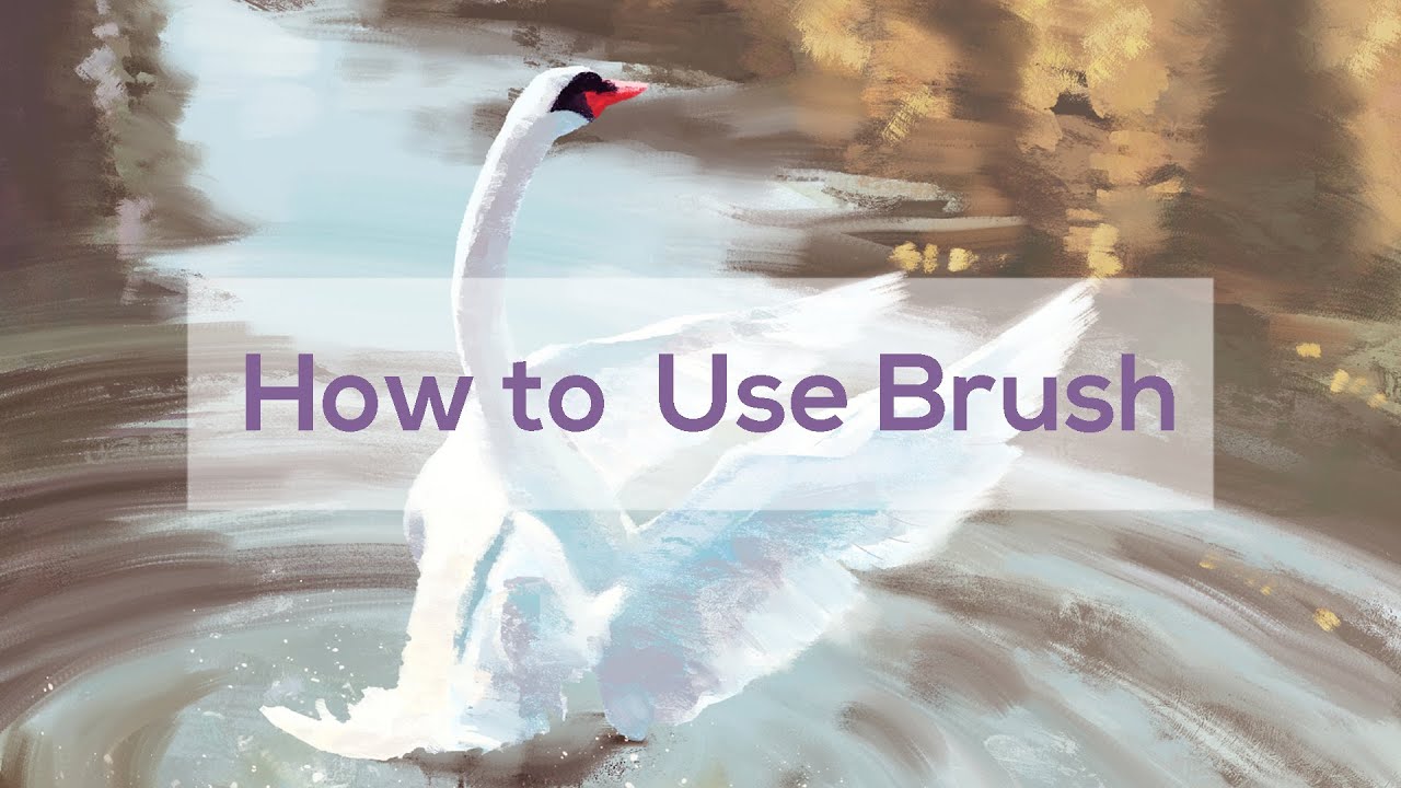 🖌️How to Use Brush | Beginner Tutorial - YouTube