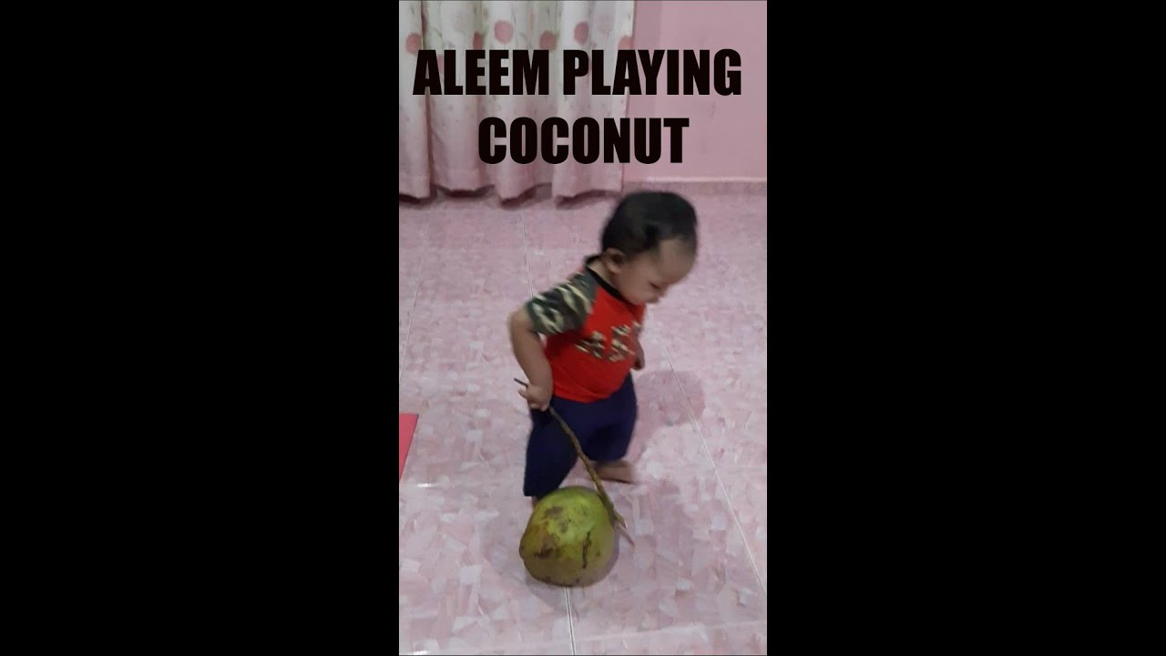 Playing With Coconut - YouTube