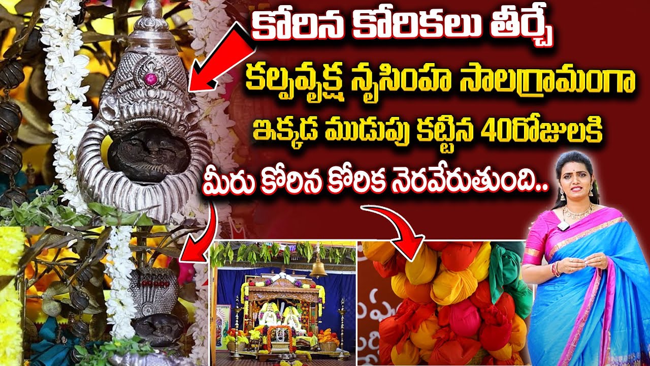 Kalpavruksha Narasimha Salagramam | Powerfull Kalpavruksha Narasimha ...