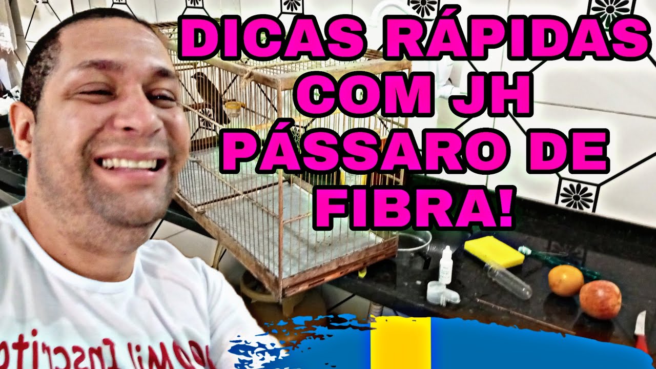 Dicas De Manejo Rápidas Com JH! - YouTube