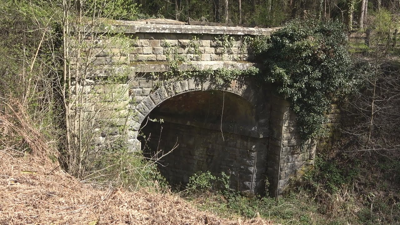 Forest of Dean Lower Lydbrook to Mirystock Tunnel Site - YouTube