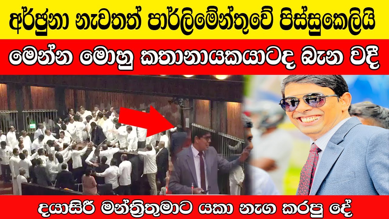 කතානායකට හොදටම බනි දයාසිරිටත් මලපනියි |arjunaa | arjuna ramanathan ...