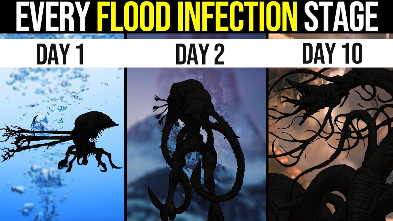 Every Stage of a Flood Infection (and the DISTURBING ENDGAME) | Halo ...