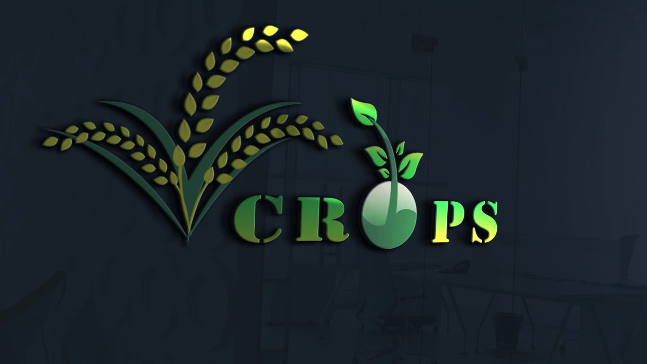 Crop logo design totorial / photoshop cs6 / crop logo 1 - YouTube
