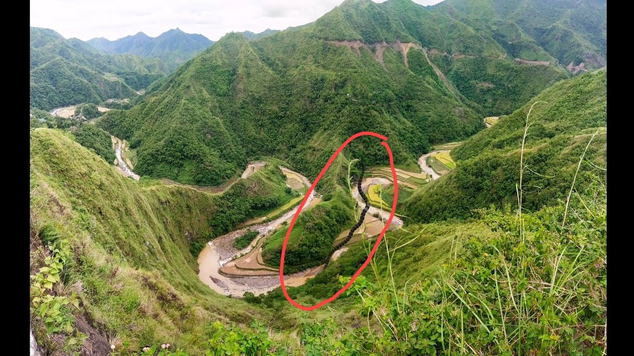 Titanoboa caught on camera|GIANT SNAKE - YouTube