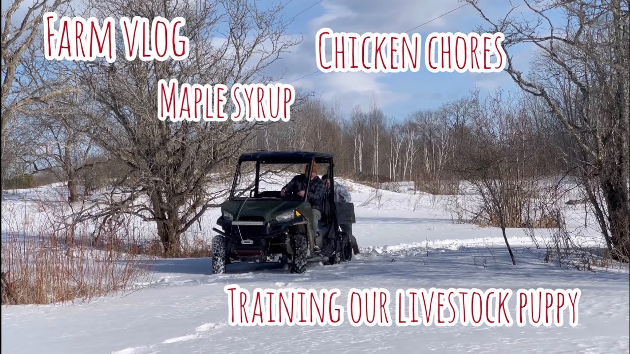 Farm Vlog: A Day In The Life During Winter - YouTube