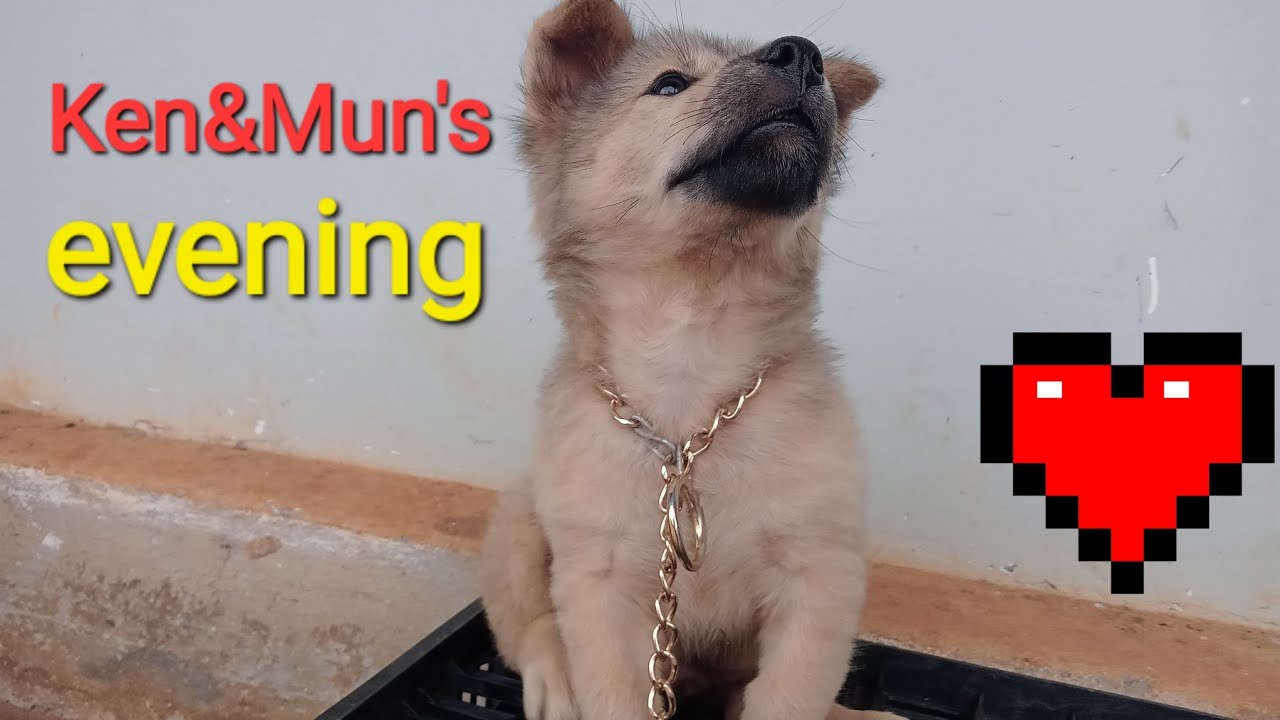 Buổi Tối Của Ken & Mun - YouTube
