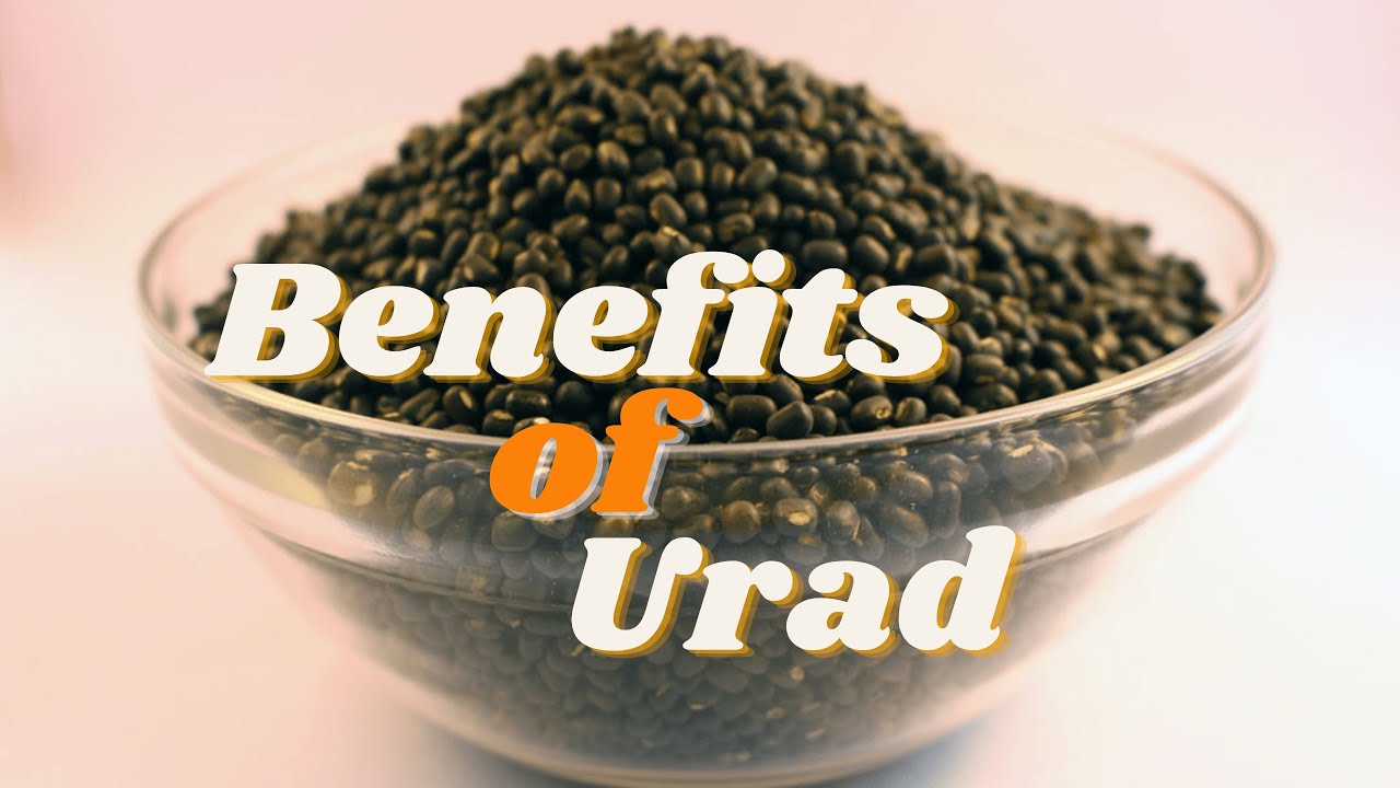 उड़द के फायदे | Benefits of Urad - YouTube
