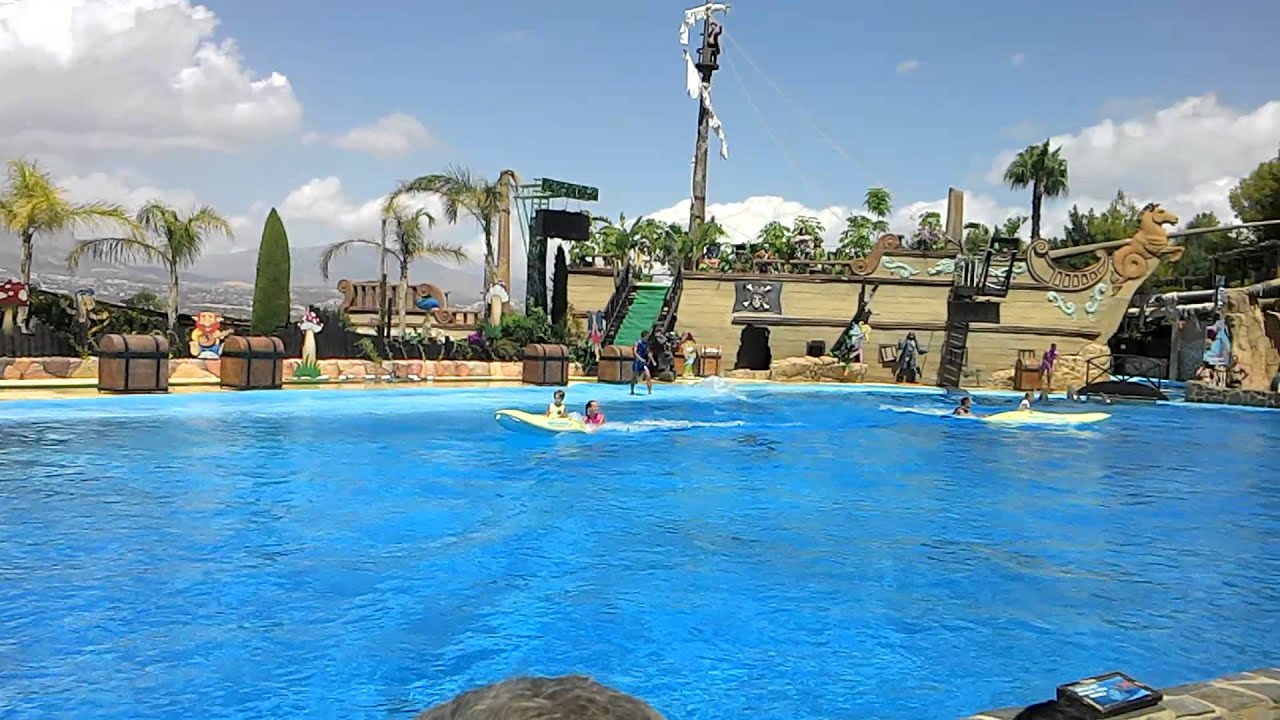 Summer benidorm dolphin show - YouTube