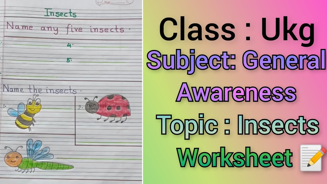 UKG/General Awareness/Insect Worksheet For Practice - YouTube