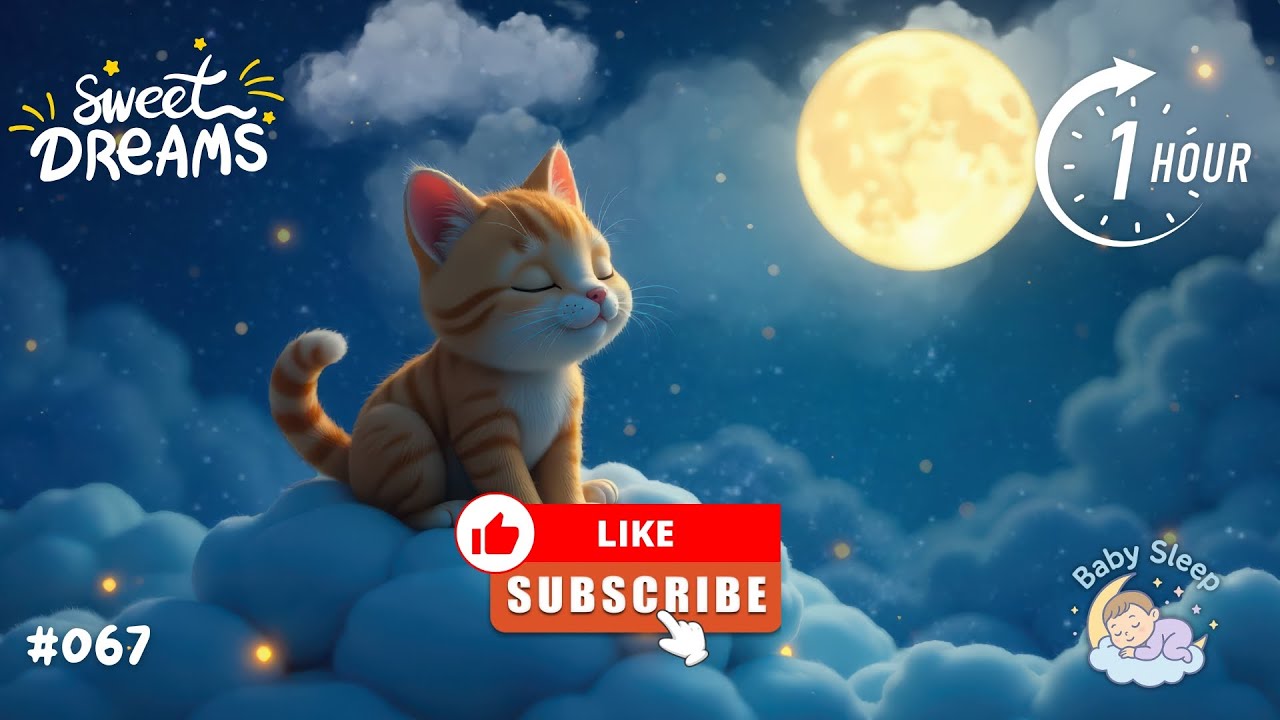Cute Cat Lullaby - Lullabies for Sweet Baby Dreams 🌙 - YouTube