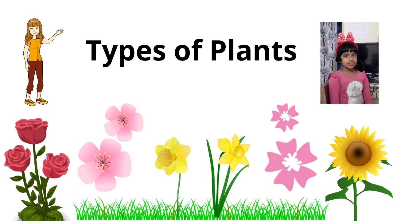 Types of plants easily described for all | Plants different type with ...