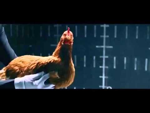 Chicken Bling - YouTube