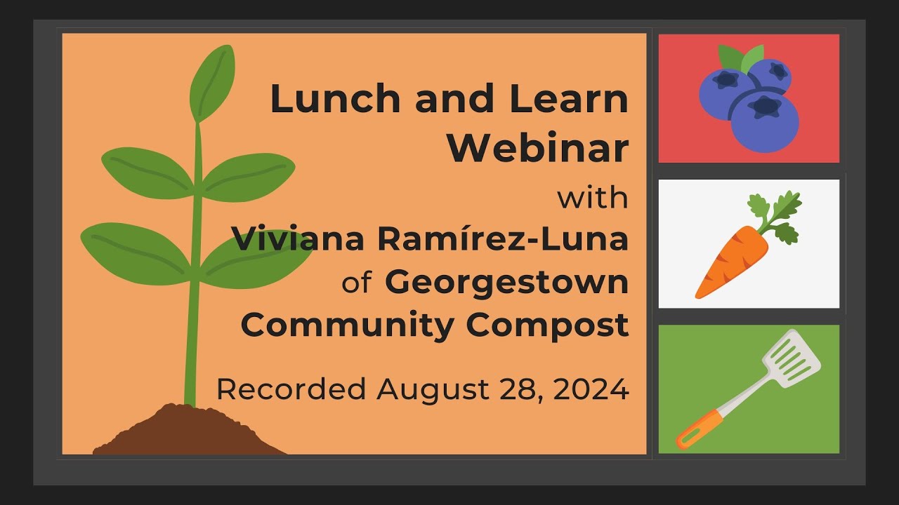 Lunch and Learn with Viviana Ramírez-Luna of Georgestown Community ...