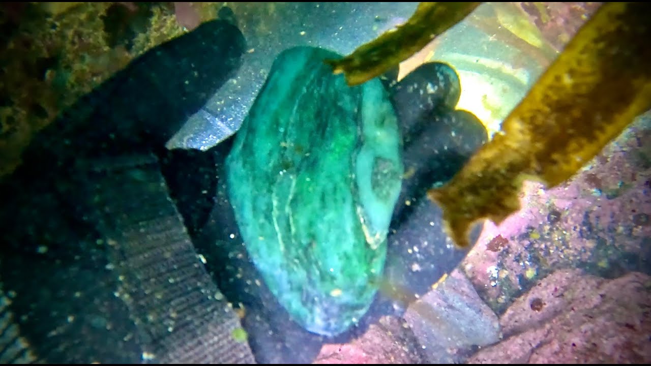 Scuba Diving Jade Cave in Jade Cove, Big Sur California - YouTube
