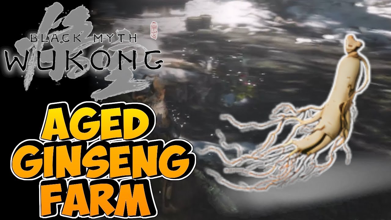 Aged Ginseng Farm Guide - Black Myth Wukong - YouTube