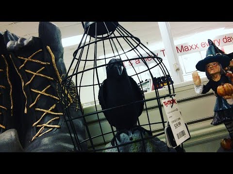 Raven in Cage | Halloween 2017 - YouTube